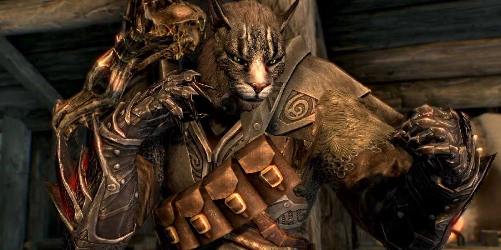 Skyrim: 10 Things You Need to Know About Races