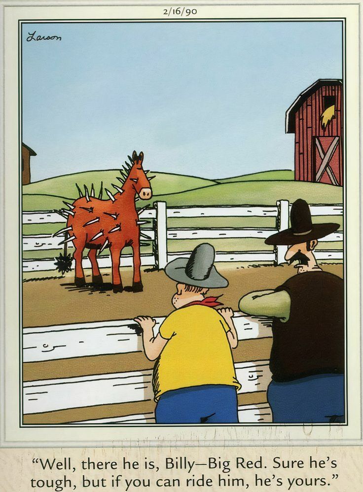 10 Best The Far Side Comics About Cowboys and the West, Ranked