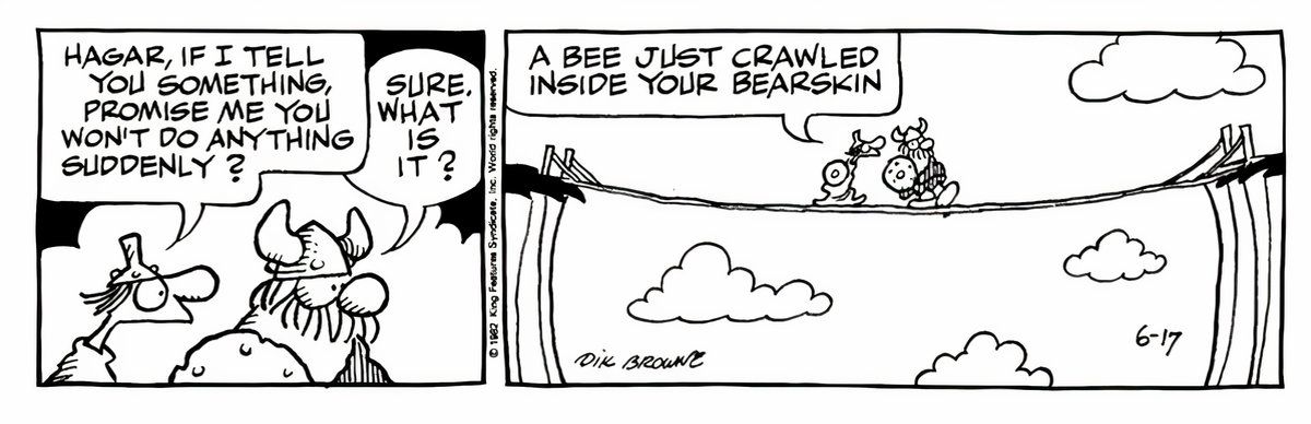 10 Funniest Hagar the Horrible Comics, Ranked