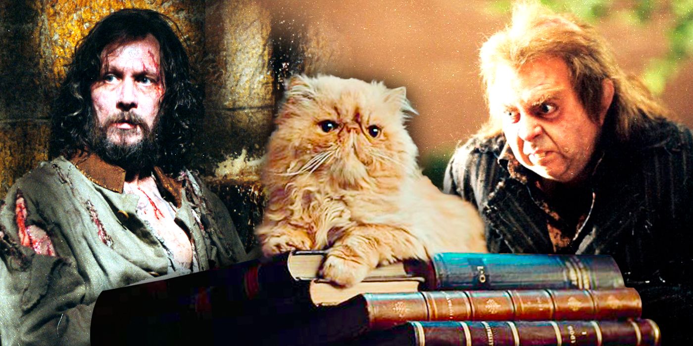 Harry Potter Books in Order: The Best Way to Read the Full Wizarding ...