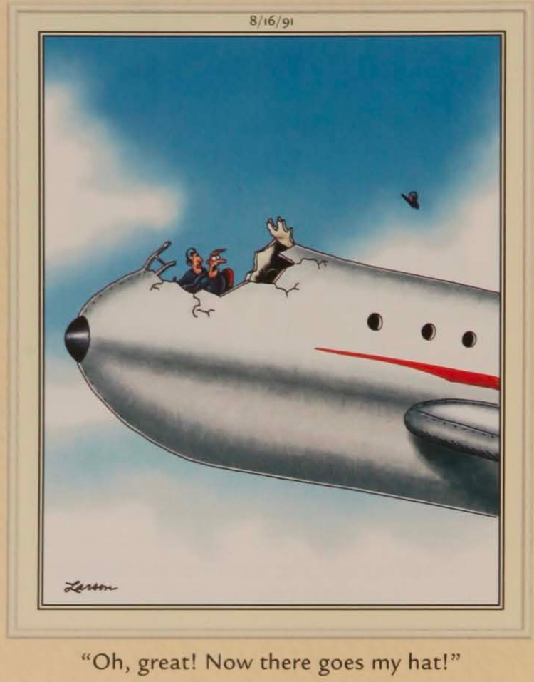 10 Funniest The Far Side Comic Strips About Airplanes and Pilots, Ranked