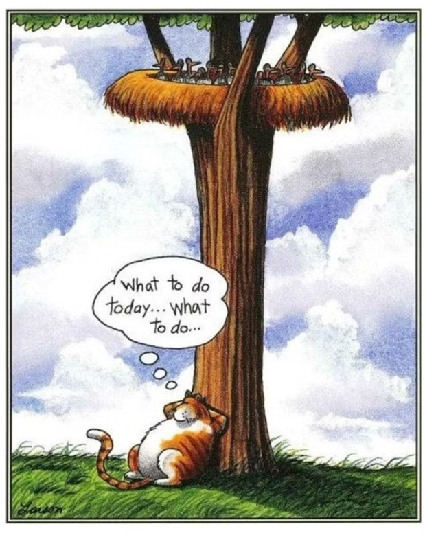 20 Best The Far Side Comics About Cats