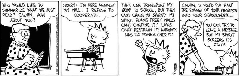 15 Best Calvin and Hobbes Comics About School, Ranked