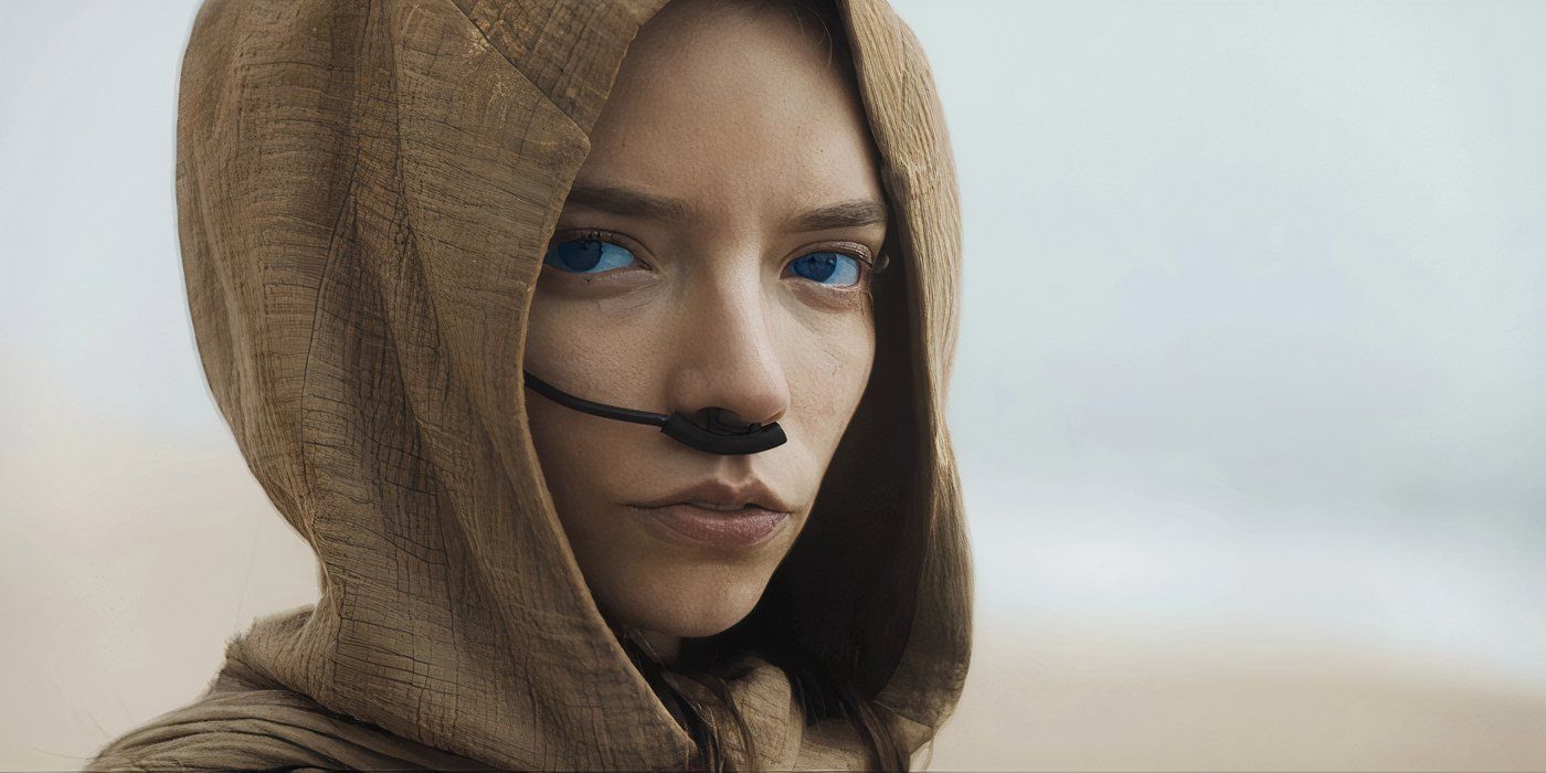 I Love the New Messiah Casting, But I'm Worried It Means Dune 2's ...