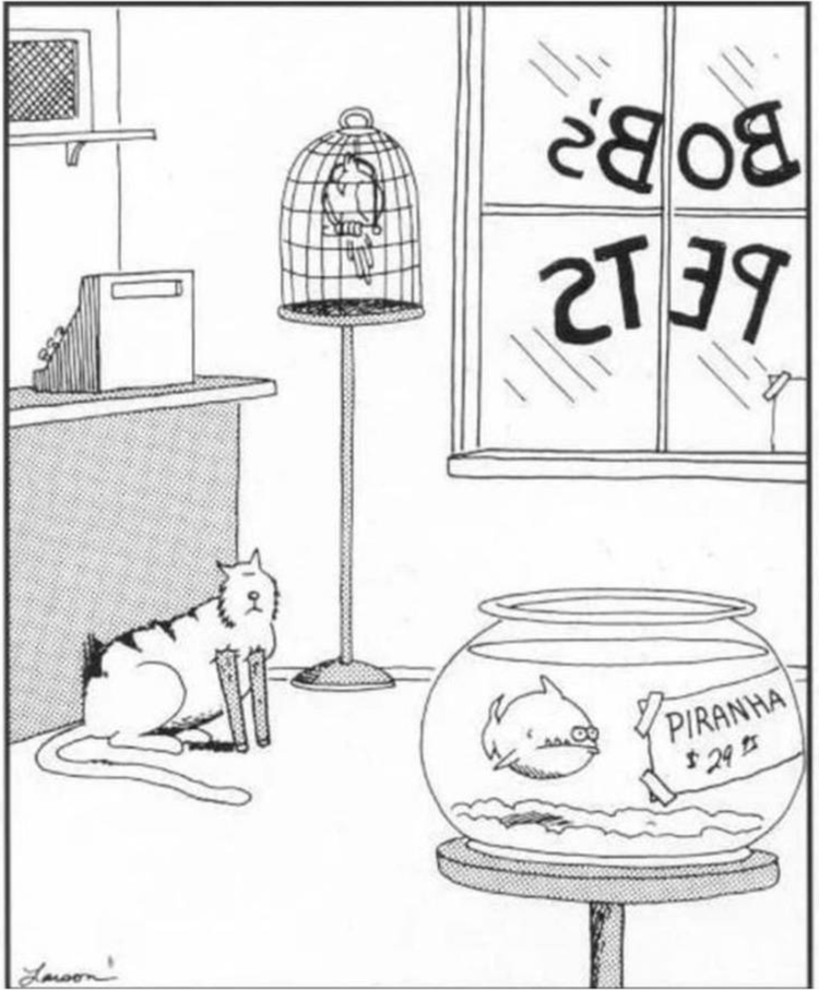 10 The Far Side Comics That'll Keep You Laughing Long After You Read Them