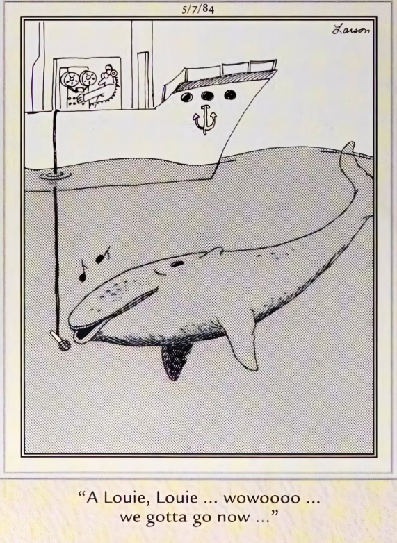 15 Funniest The Far Side Comics About Music, Ranked