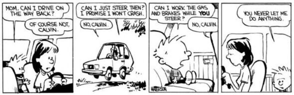 10 Funniest Calvin and Hobbes Car Rides, Ranked