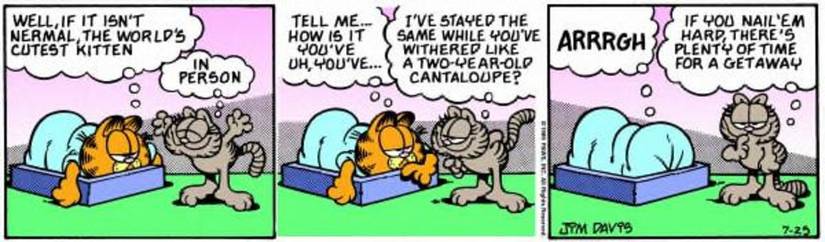 10 Best Nermal's Revenge Moments In Garfield Comics