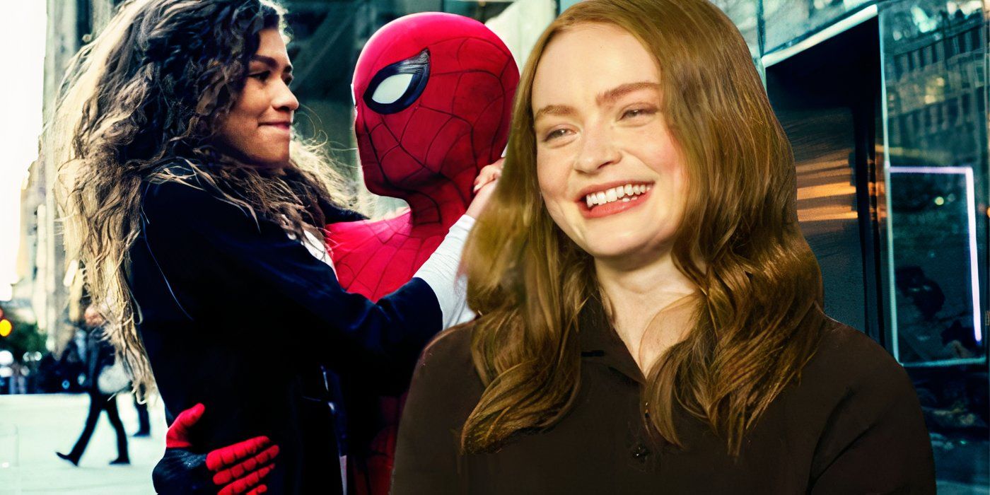 Tom Holland's Spider-Man Trilogy Fumbled a Main Character (But This ...