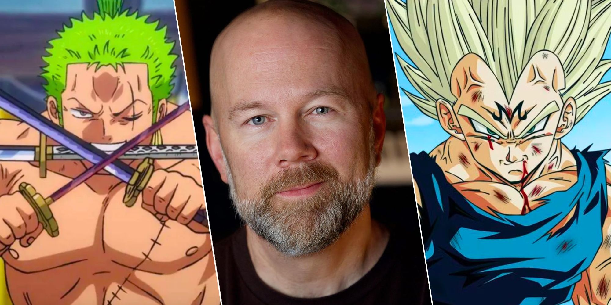 One Piece & 9 Other Anime You've Heard Roronoa Zoro's English VA In