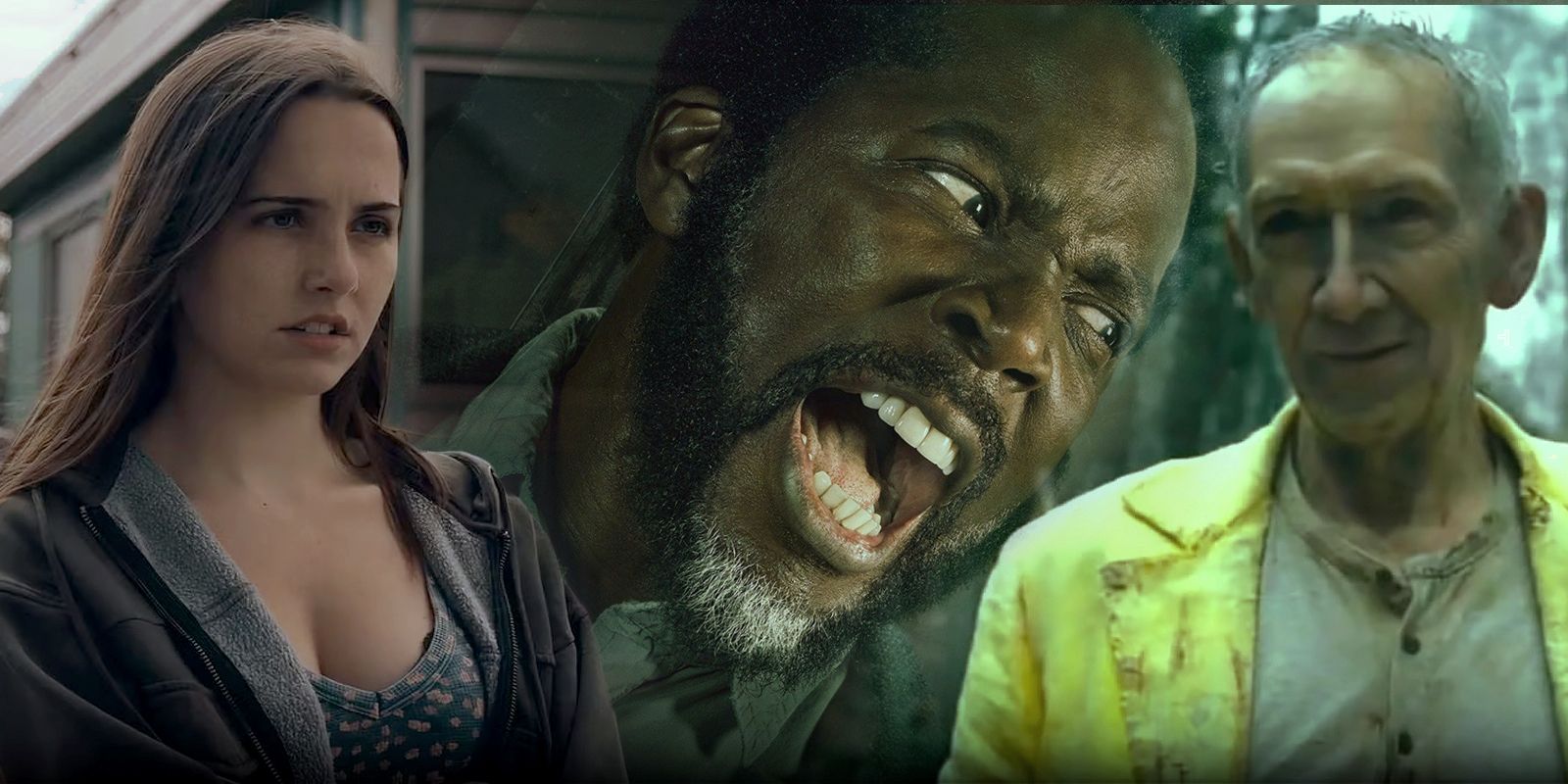 Pinky Is the Real Genius in Pinky and the Brain, Theory Explained