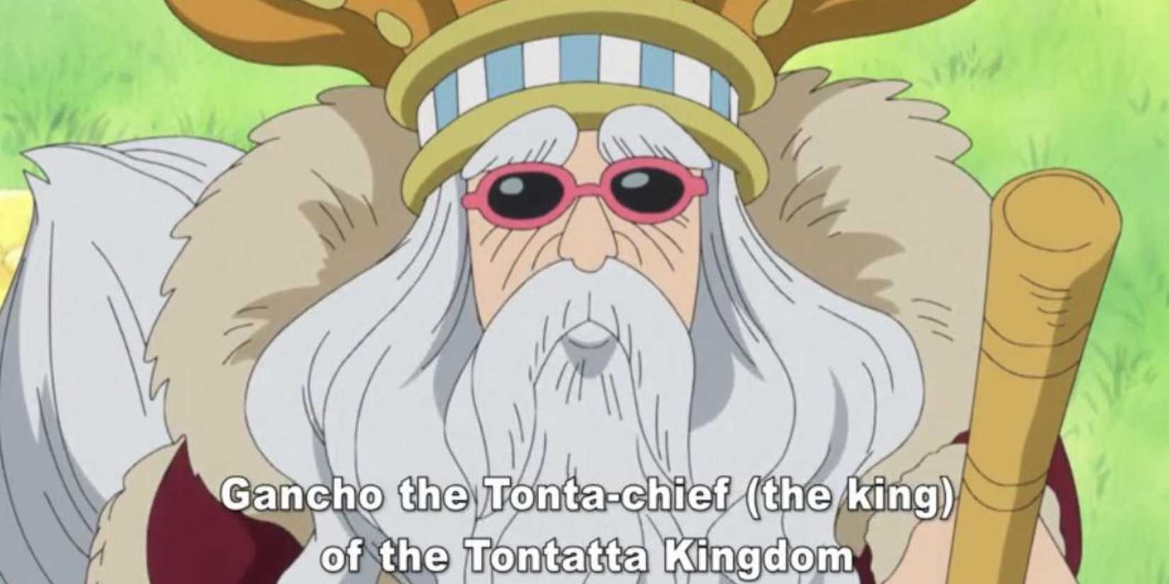 Every Important King in One Piece, Ranked