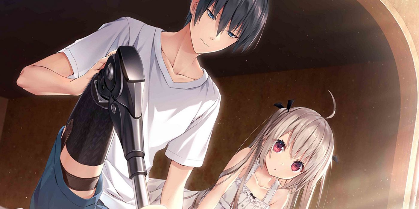 10 Best Visual Novels That May As Well Be Anime, Ranked