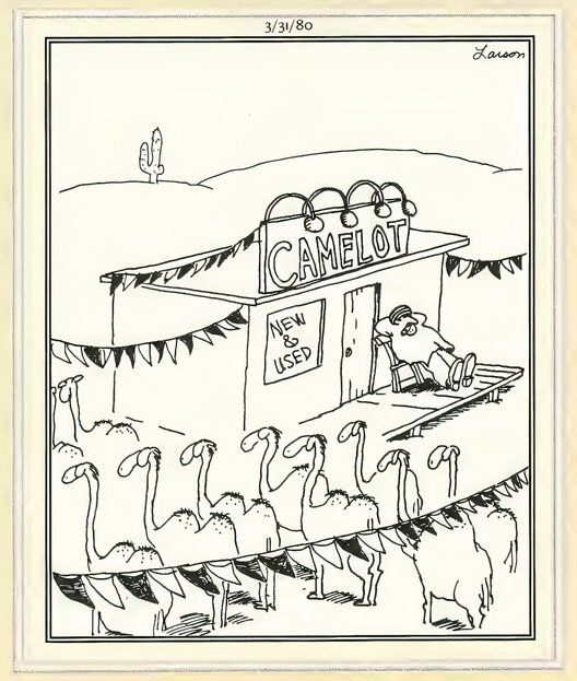 10 The Far Side Comics With Groan-Worthy Puns