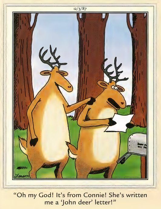 10 The Far Side Comics With Groan-Worthy Puns