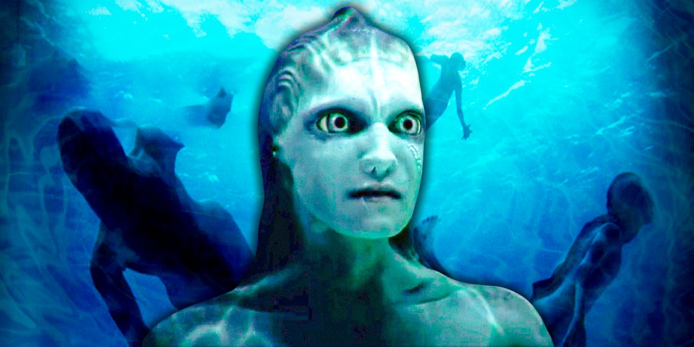 Real Mermaid Body Found 2024