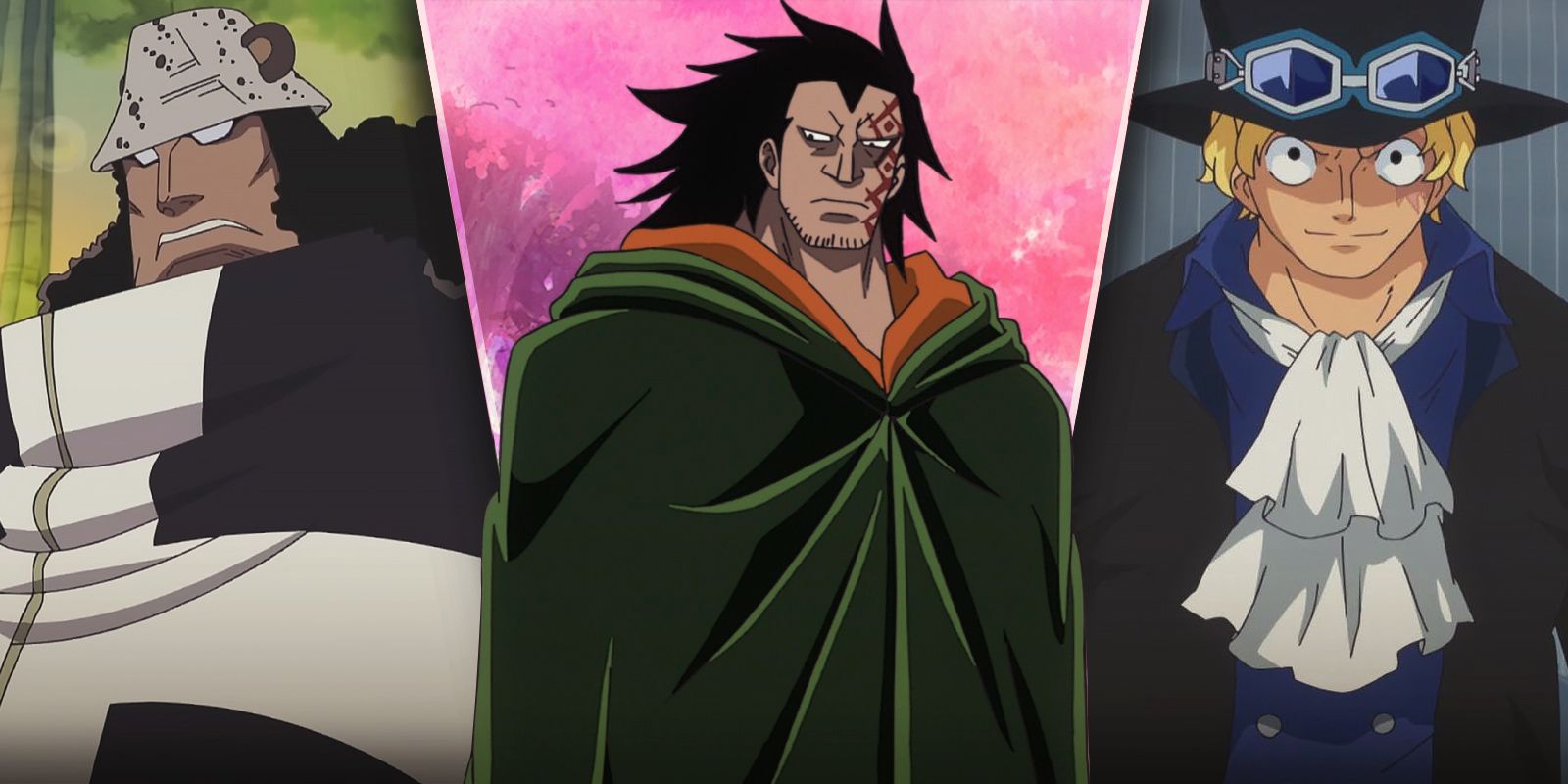 One Piece: The Revolutionary Army's Hierarchy, Explained