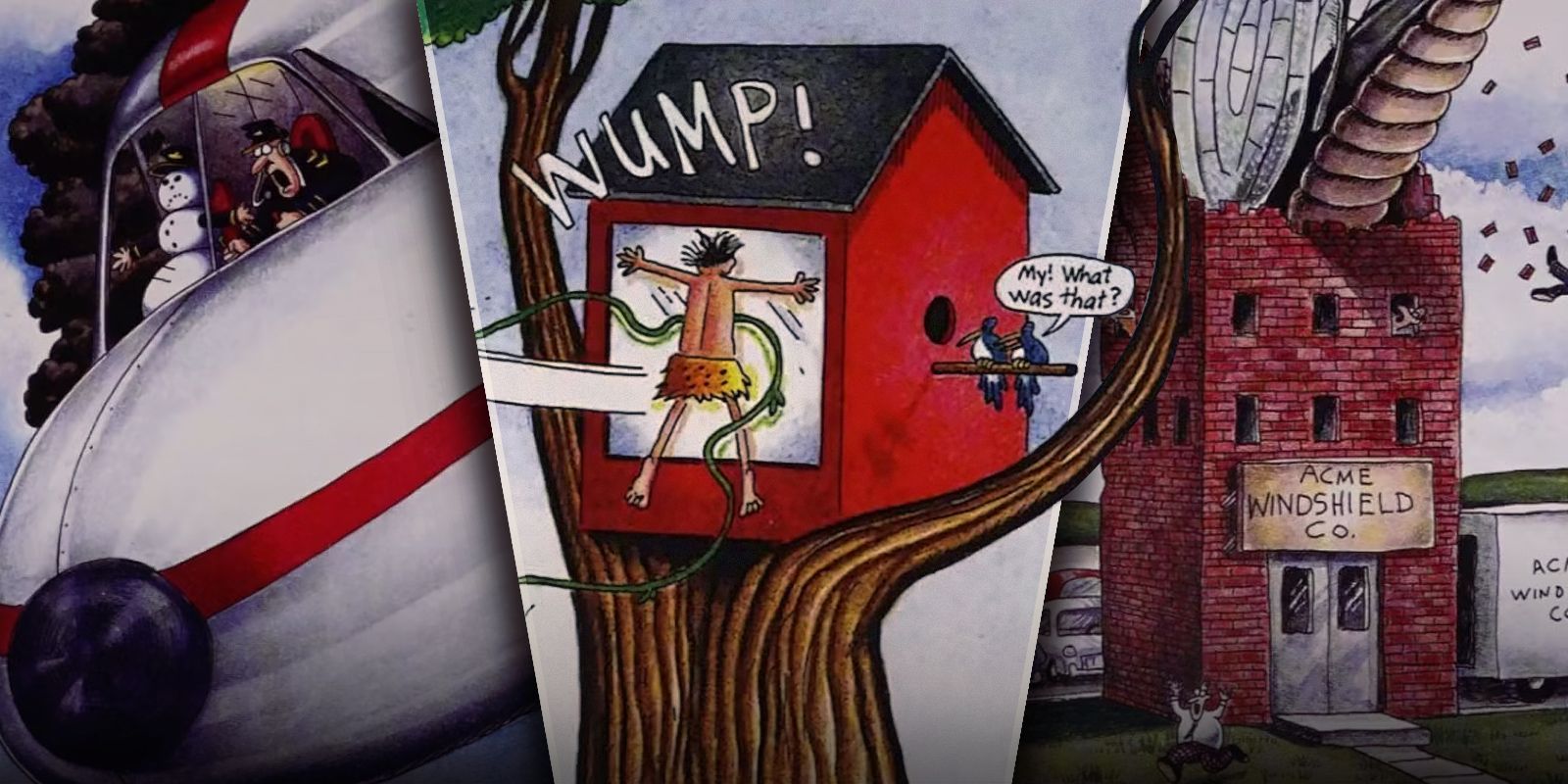 10 Funniest Aerial Accidents In The Far Side Comics, Ranked