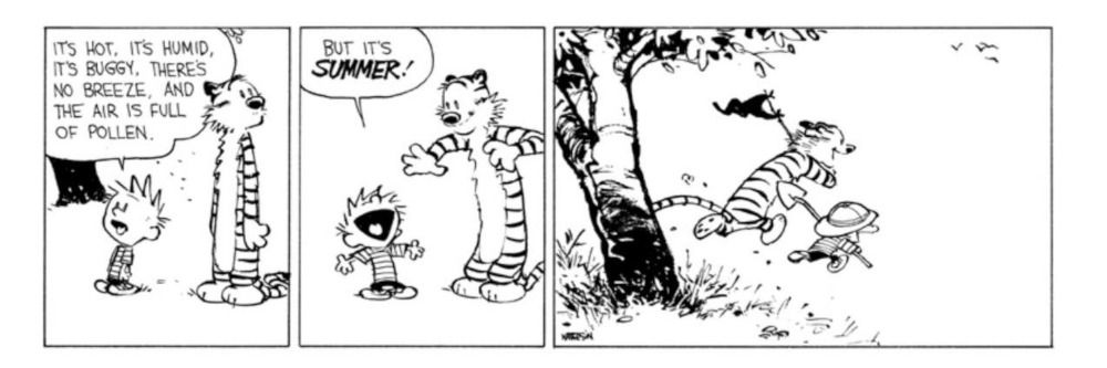 10 Best Calvin and Hobbes Start Of Summer Comics