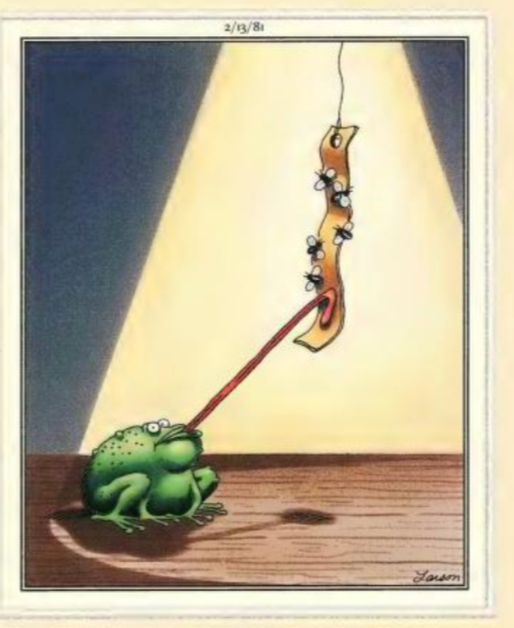 The 10 Funniest Far Side Comics Featuring Frogs