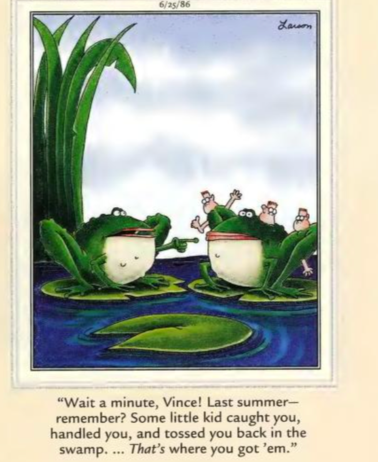 The 10 Funniest Far Side Comics Featuring Frogs
