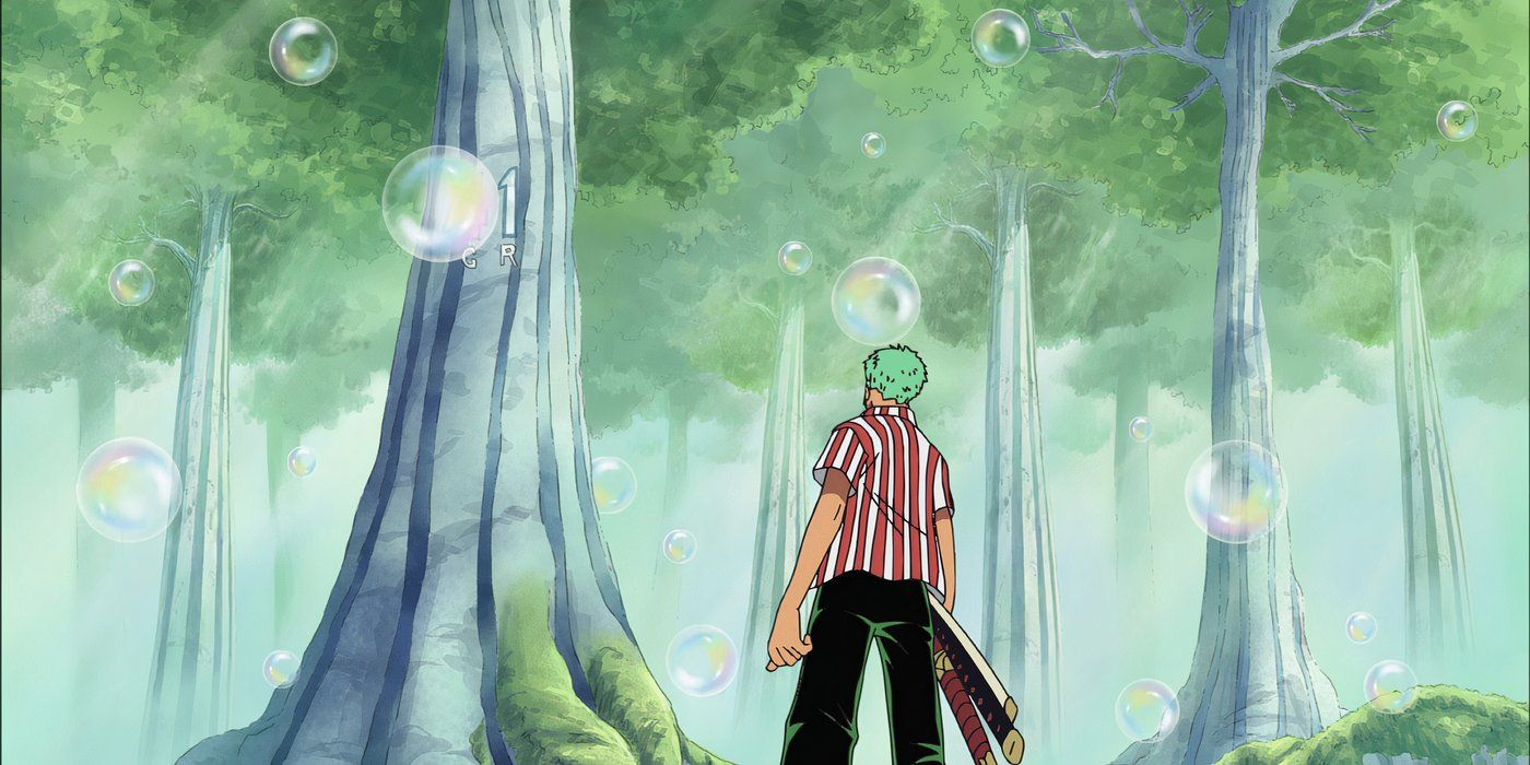 5 teorias de One Piece que explicam perfeitamente por que Zoro sempre ...