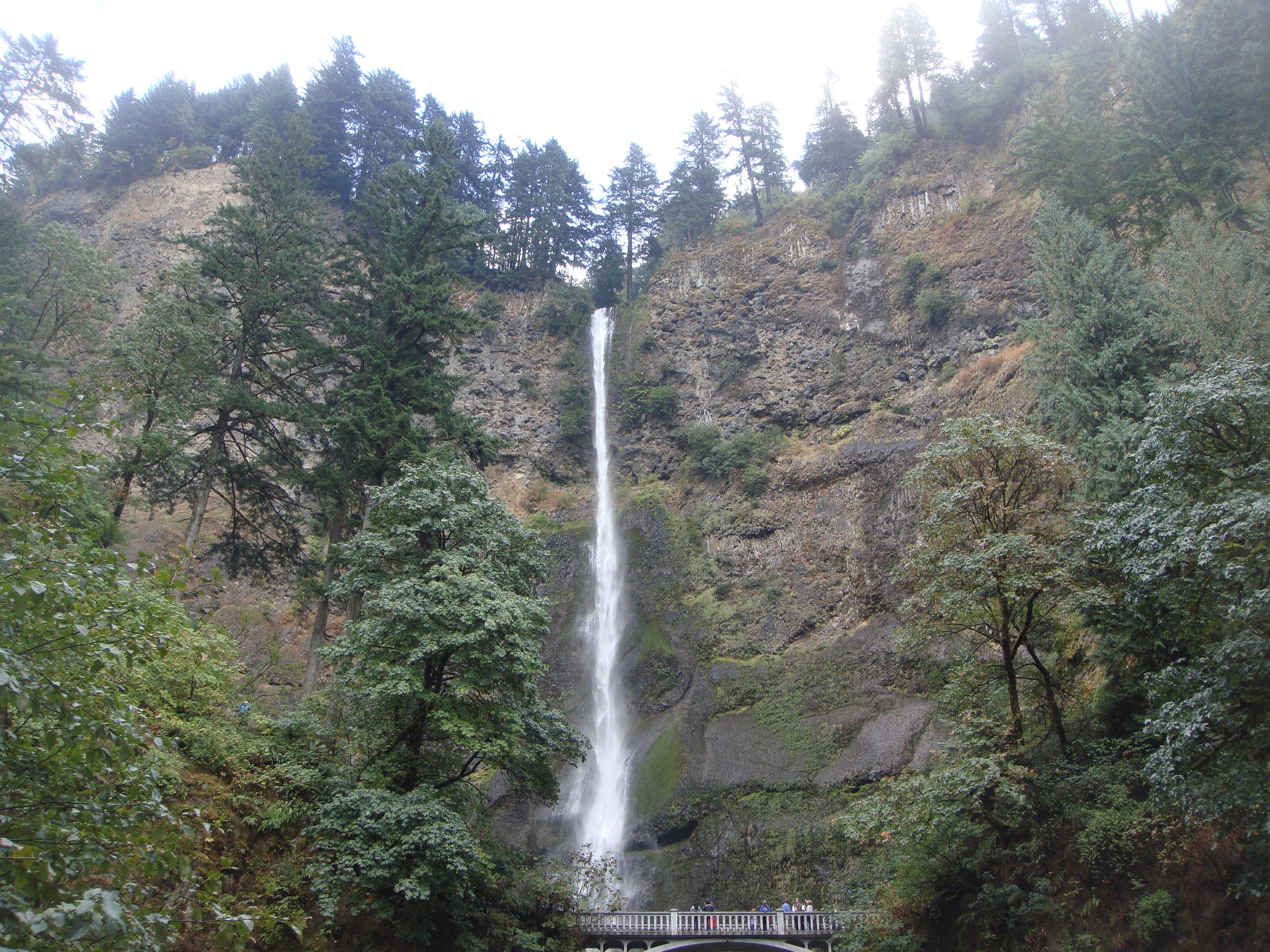 My post about the Rose City Comic Convention may feature a lot of food