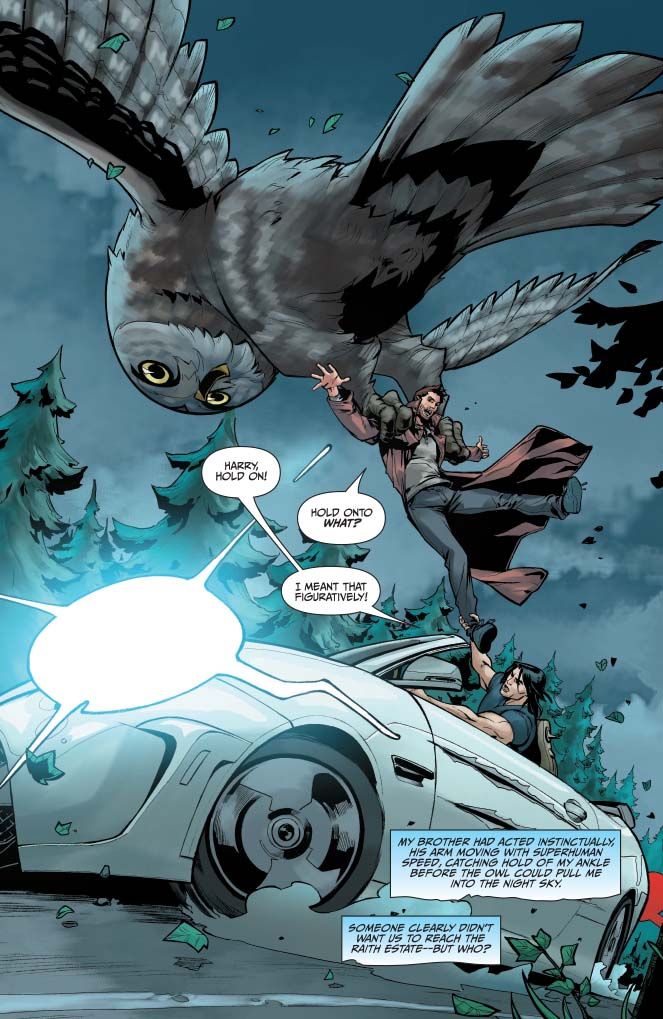 Jim Butcher's The Dresden Files: Wild Card #2