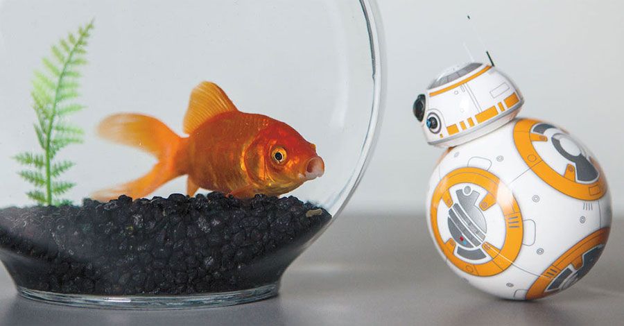 Adorable, functional BB-8 is this year's must-have 'Star Wars' toy