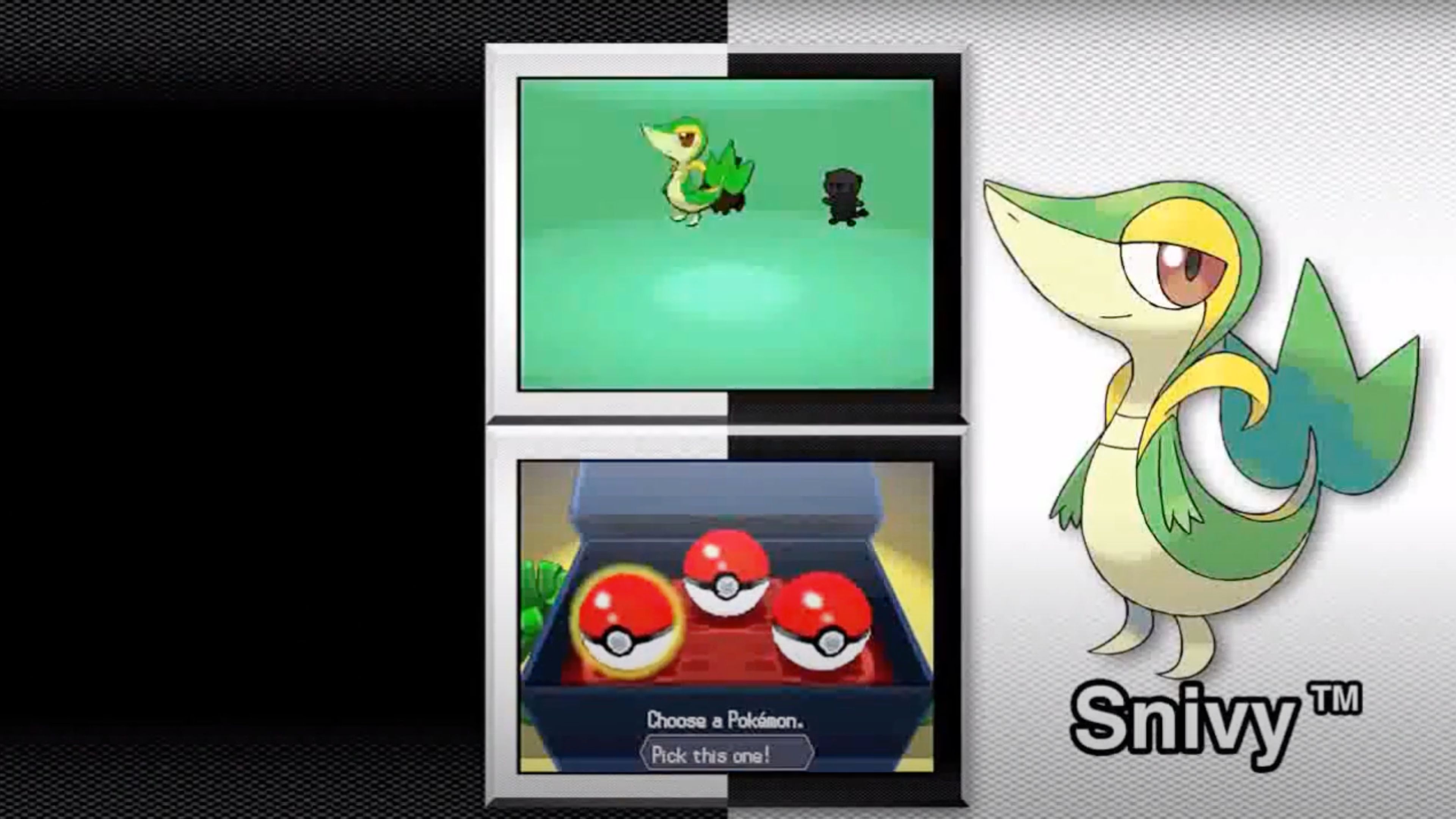 Pokemon Black 2 Starters