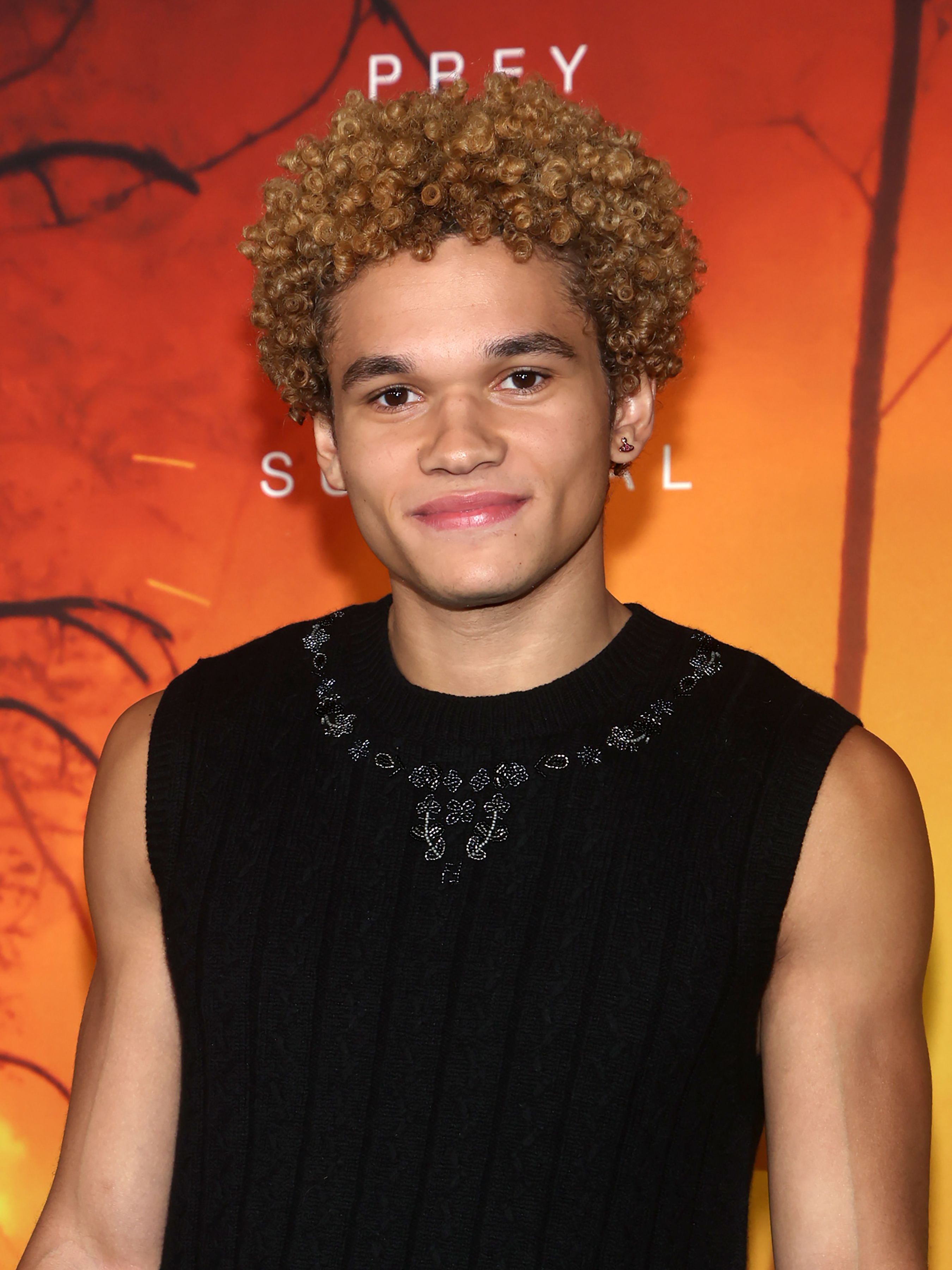 Wolf Pack (2023) | CBR