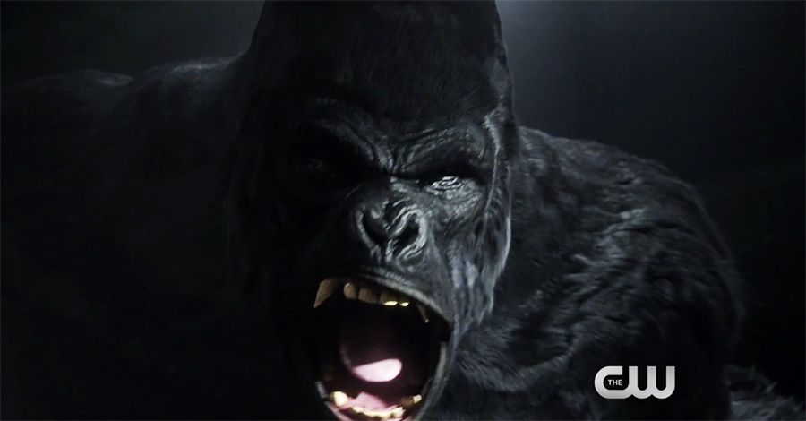 New "Flash" Trailer Urges Viewers To "Believe In Grodd"