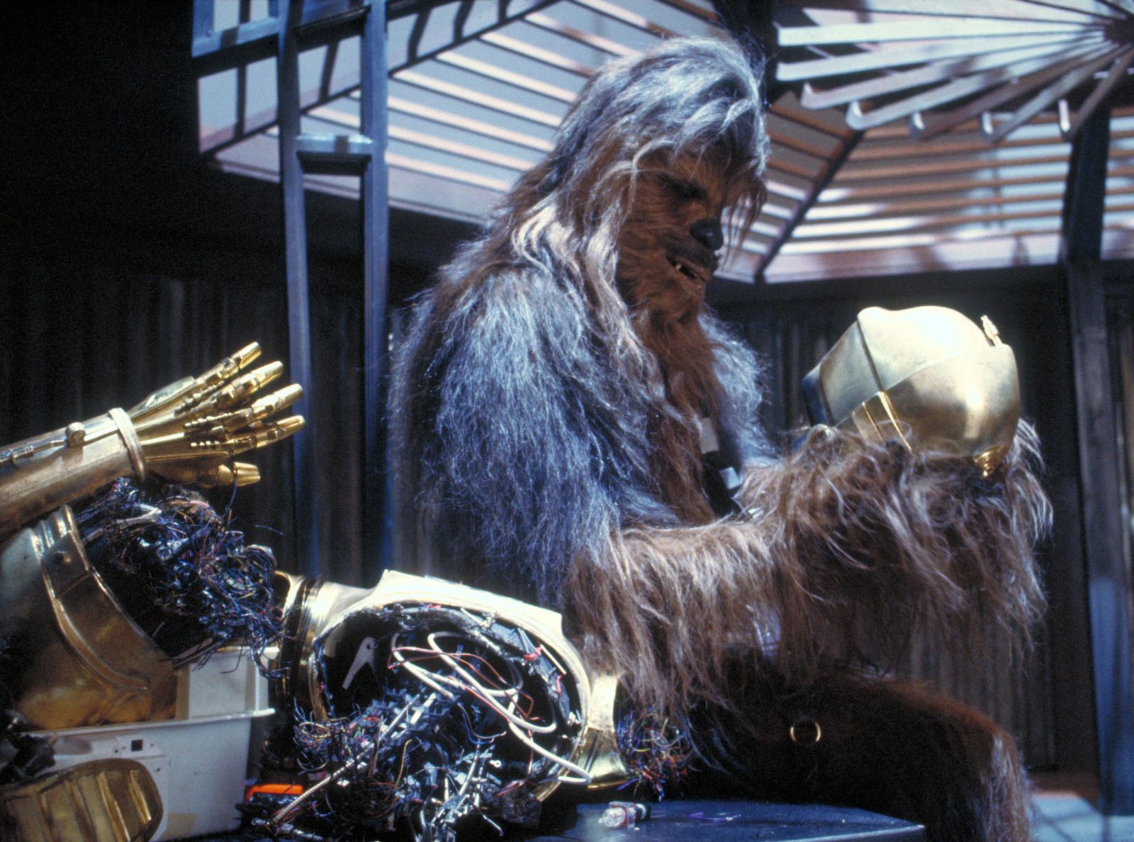 Did It All For The Wookiee: 21 Things About Chewbacca That Make No Sense